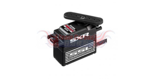 Sanwa PGS-CX II CX2 SXR Programmable SSL servo